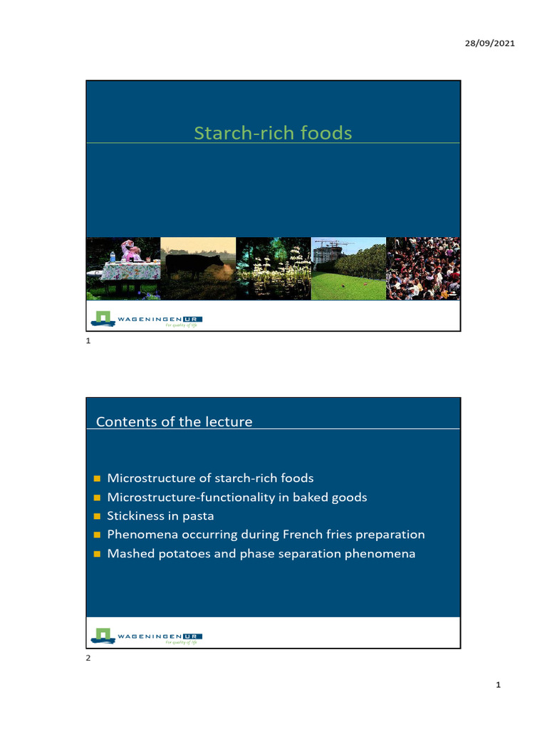 Starch Rich Foods | PDF | Starch | Breads