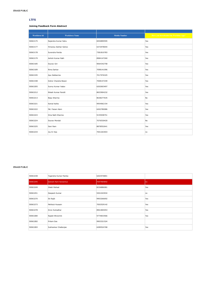 Workline App Feedback & Issues | PDF