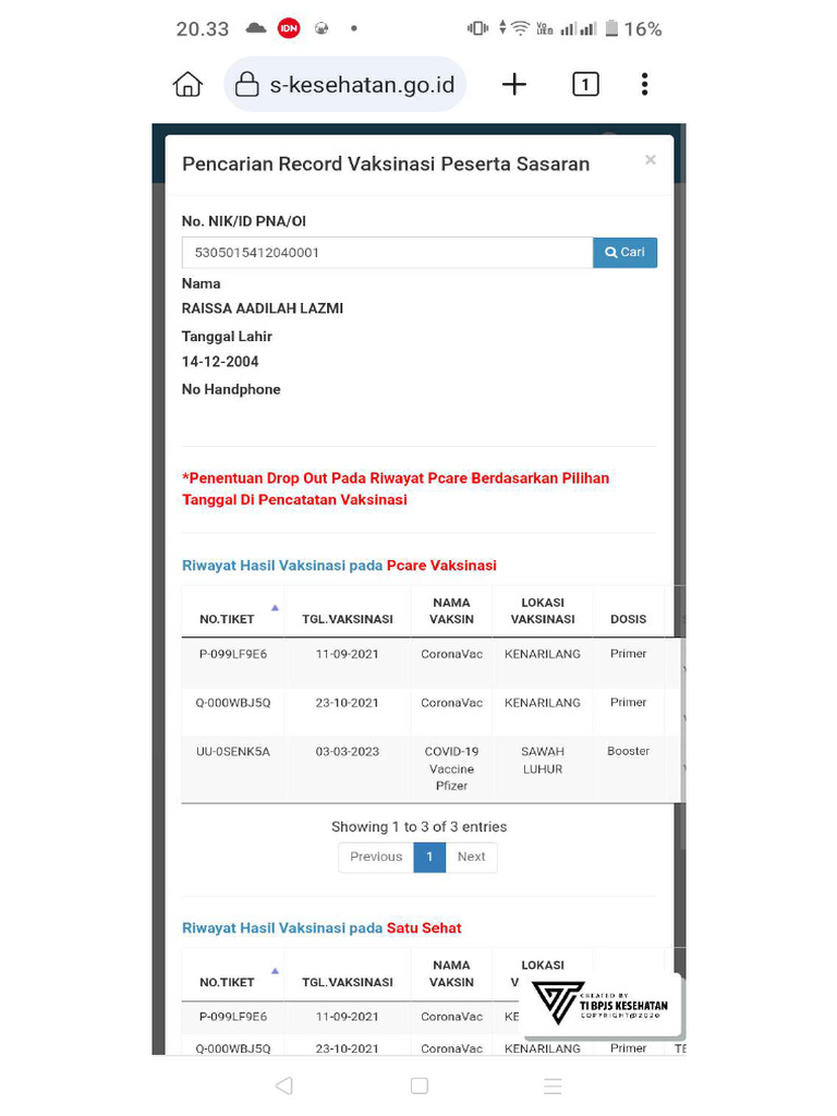 Web Kemenkes Raisa | PDF