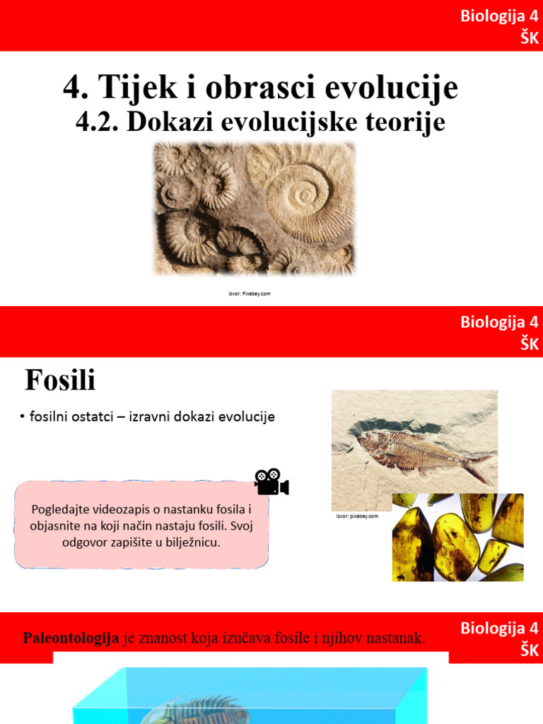Tijek I Obrasci Evolucije: 4.2. Dokazi Evolucijske Teorije | PDF