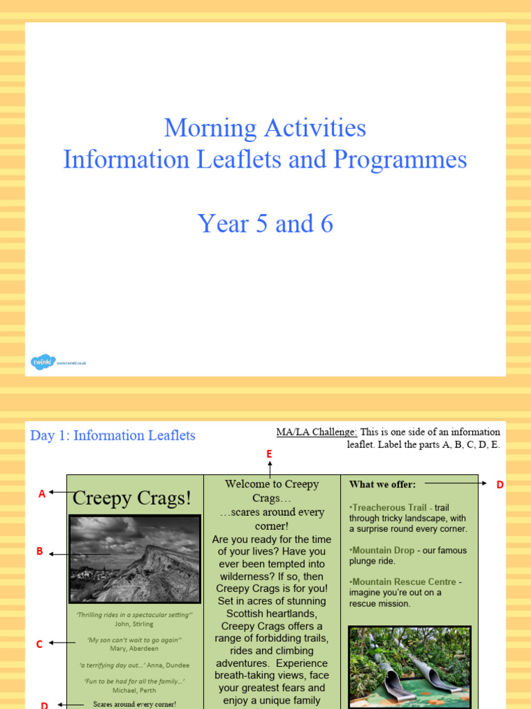 T2 E 841 Year 5 and 6 English Morning Activities Informative Leaflets | PDF