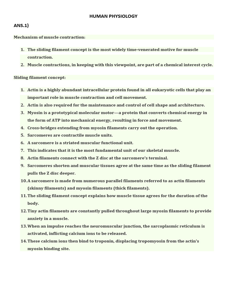 Human Physiology Notes | PDF | Menstrual Cycle | Muscle Contraction