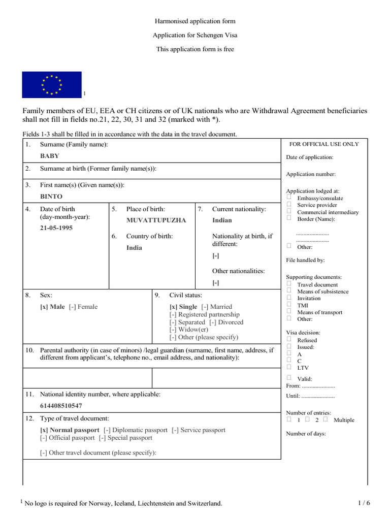 Schengen Visa Application Form | PDF | Travel Visa | Government And Personhood