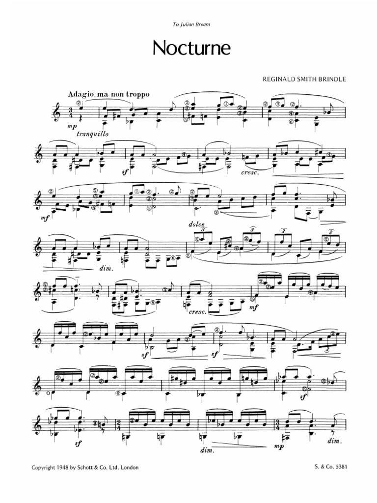 Nocturne Brindle | PDF