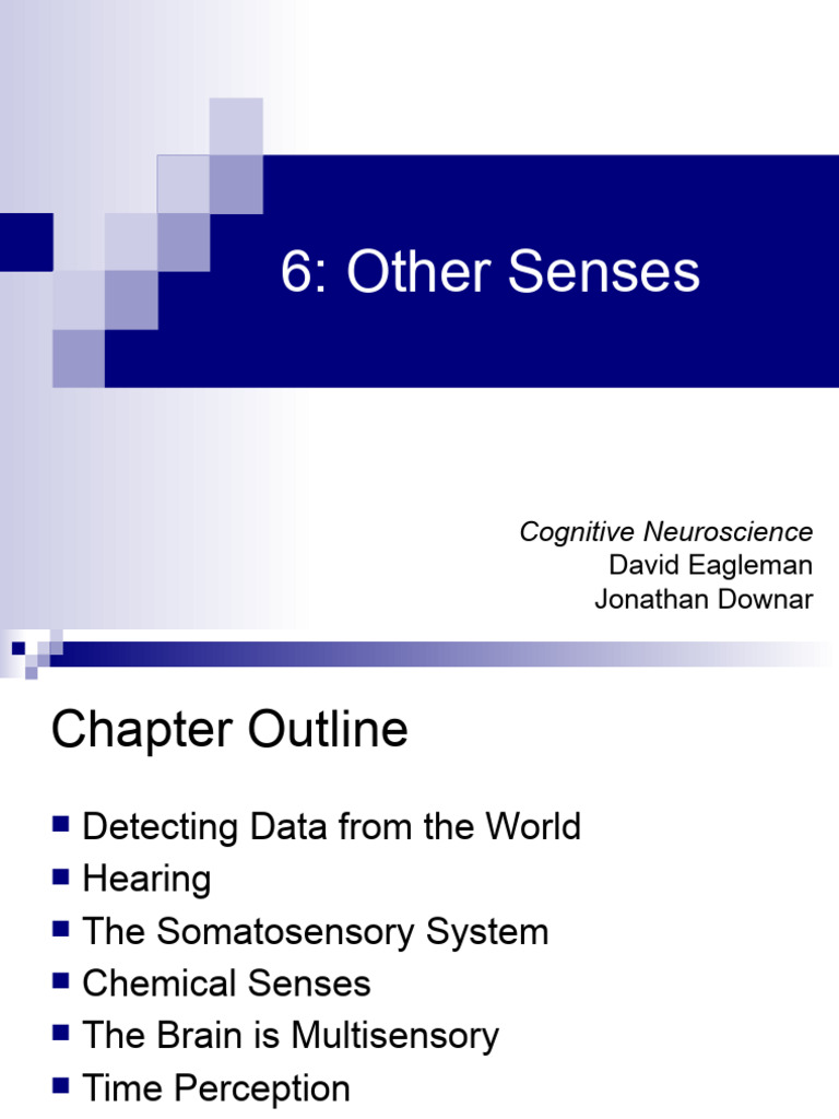 Ch6 Other Senses | Download Free PDF | Auditory System | Senses