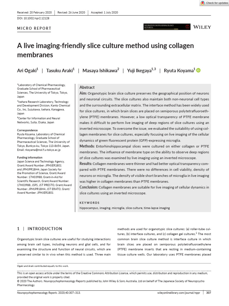 Neuropsychopharm Rep - 2020 - Ogaki - A Live Imaging Friendly Slice ...