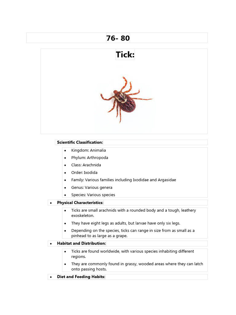 Tick:: Scientific Classification | Download Free PDF | Cats | Squirrel