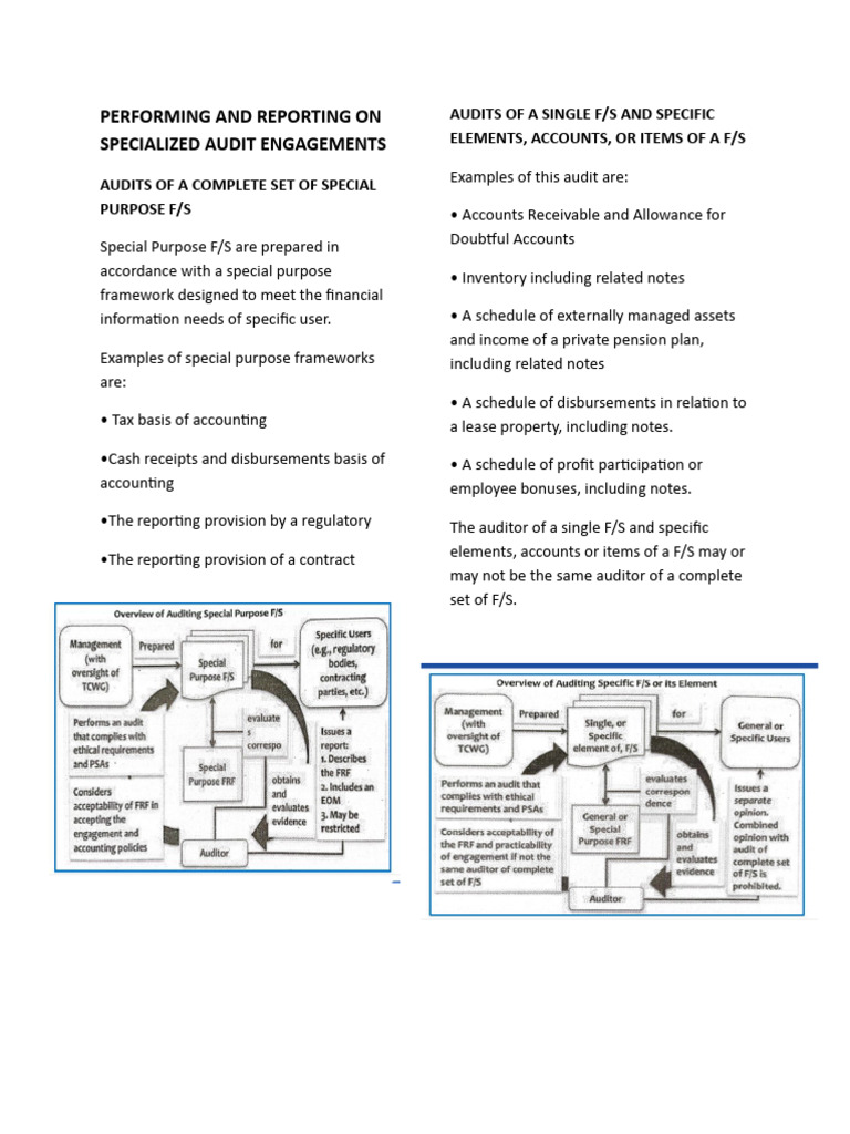 Performing and Reporting On Specialized Audit Engagements | PDF ...