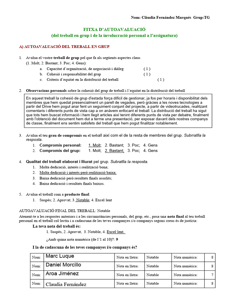 SdES Fitxa Autoavaluació | PDF
