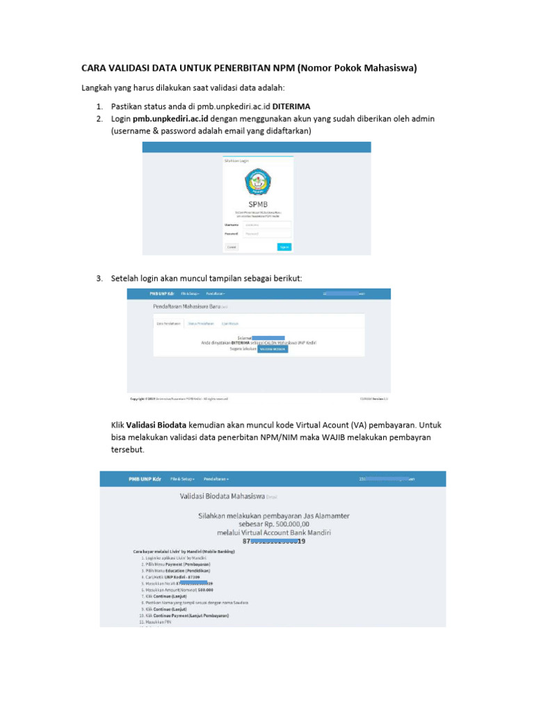 Contoh CARA VALIDASI DATA 2024 | PDF