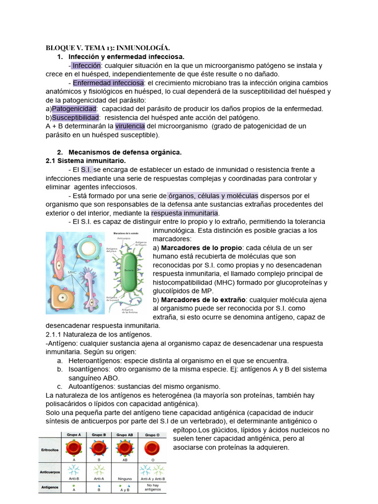 Inmuno | PDF | Sistema inmune | Linfocitos