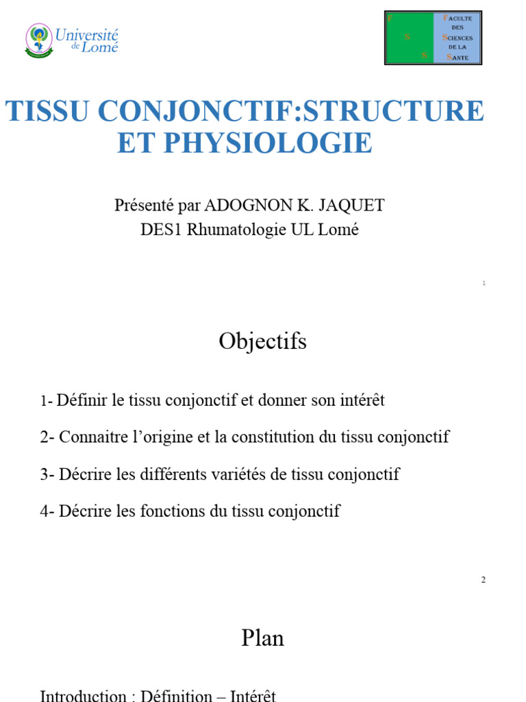 Tissu Conjonctif Cours Akj | PDF | Tissu conjonctif | Cellule (Biologie)