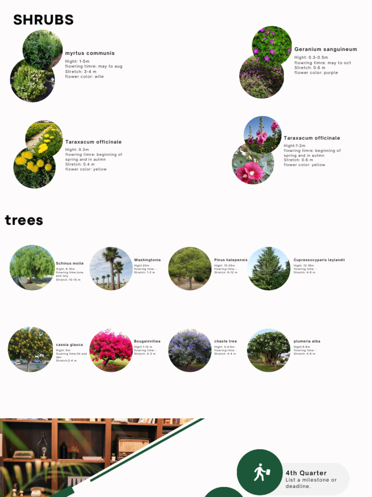 SHRUBS | PDF