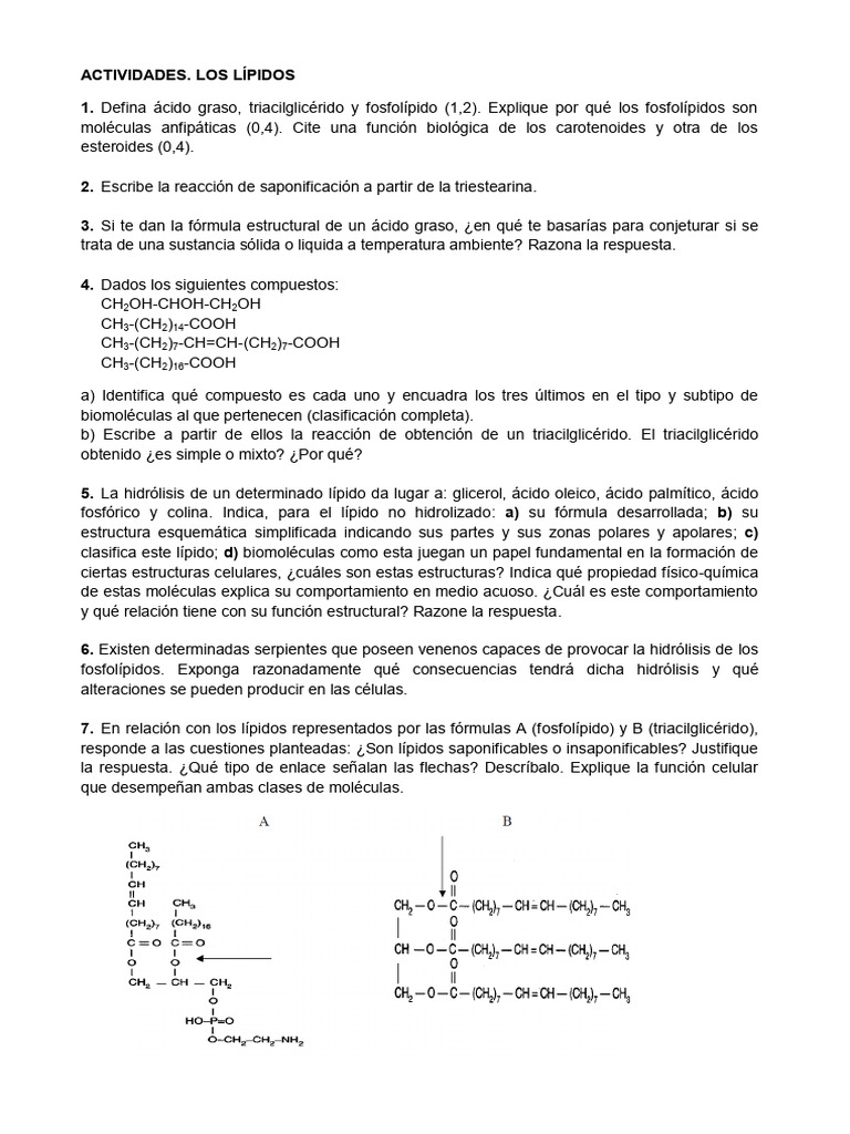 T3 Lípidos Actividades | PDF | Lípido | Hidrólisis