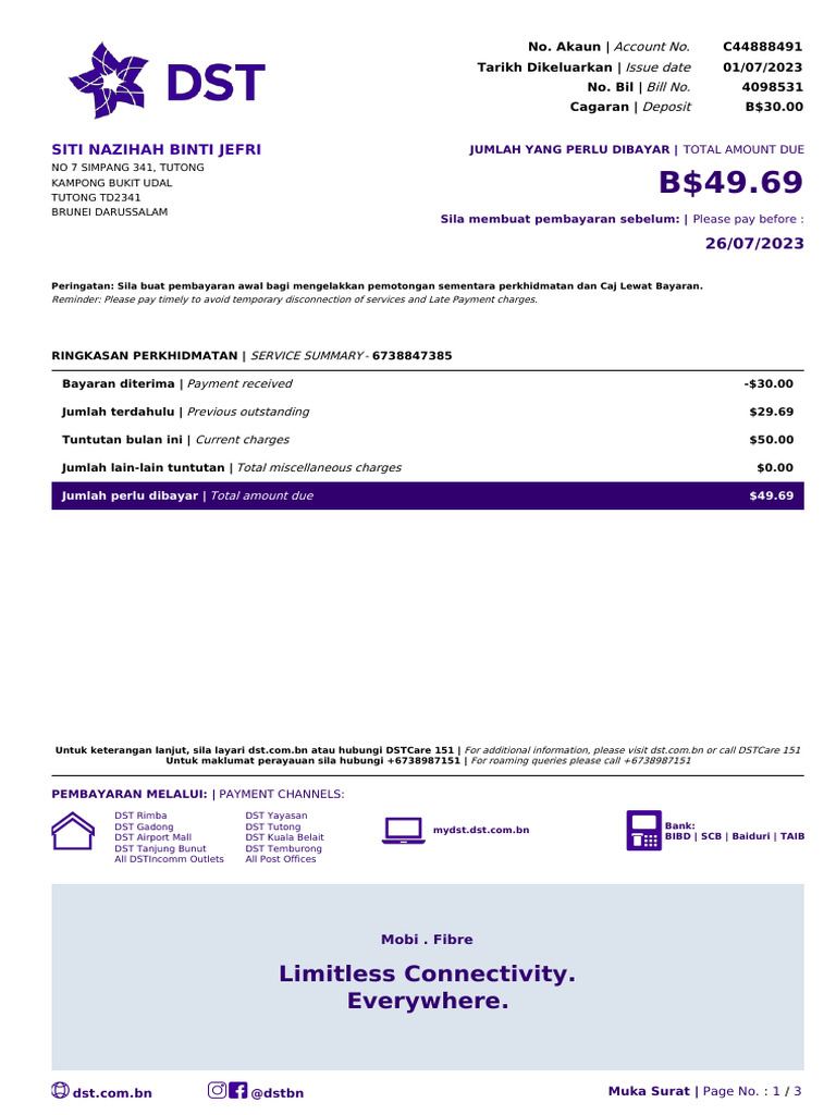 DST Bill Summary and Payment Details | PDF