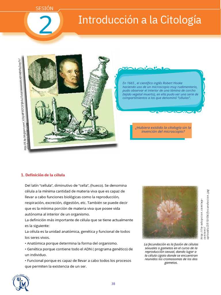 Biologia 2 Sesion 2 Marello | PDF | Biología Celular) | Nucleo celular