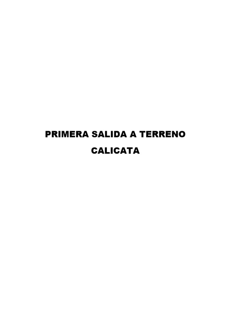 Calicata 1 | PDF | Suelo | Erosión