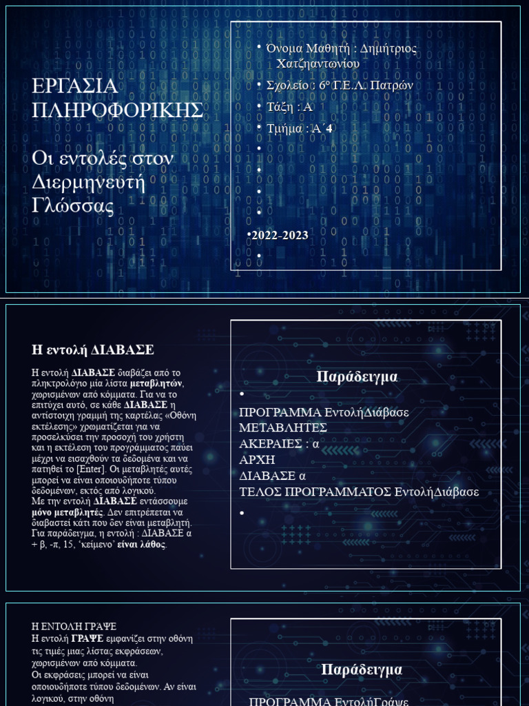 ΕΡΓΑΣΙΑ ΠΛΗΡΟΦΟΡΙΚΗΣ | PDF