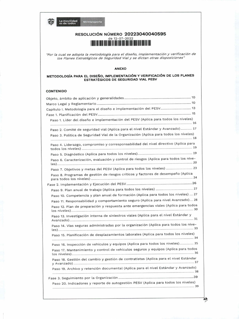 Pasos para Realizar El Pesv | PDF