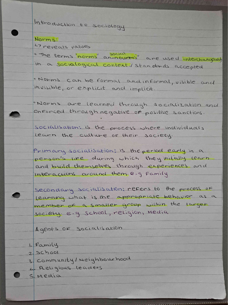 Introduction To Sociology | PDF