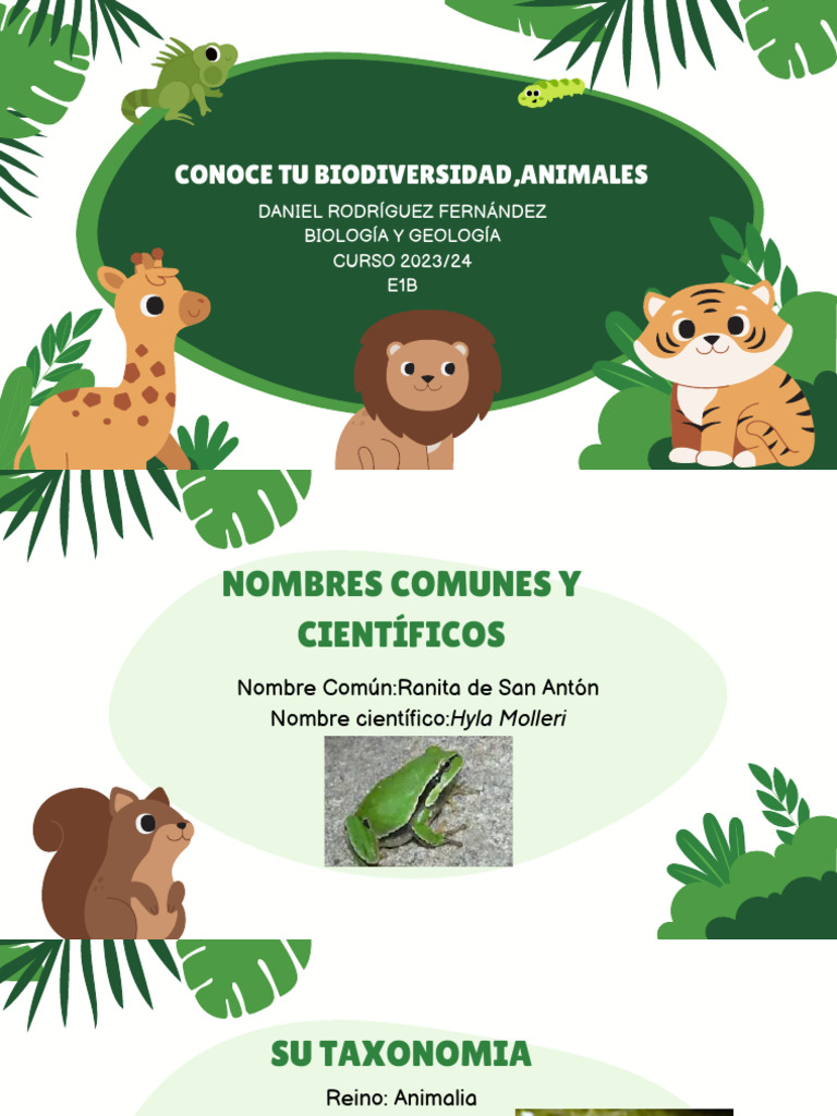 Presentacion Juego de Animales Infantil Divertido Verde | PDF | Zoología