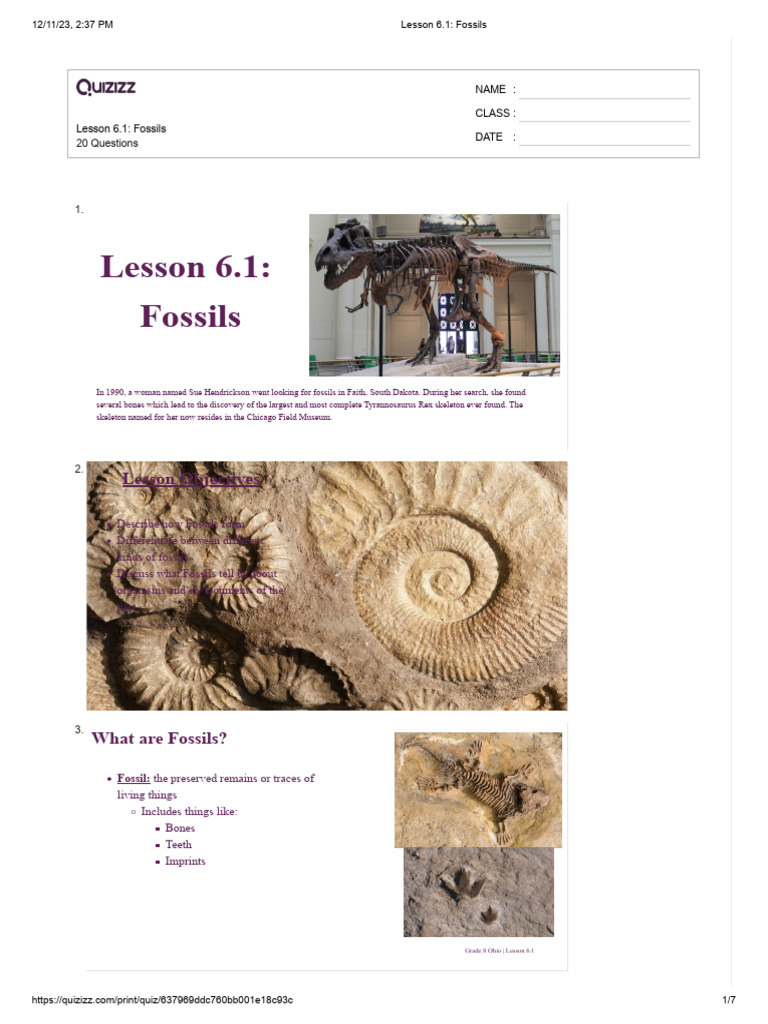 Lesson 6.1 - Fossils | PDF | Fossil | Paleontology