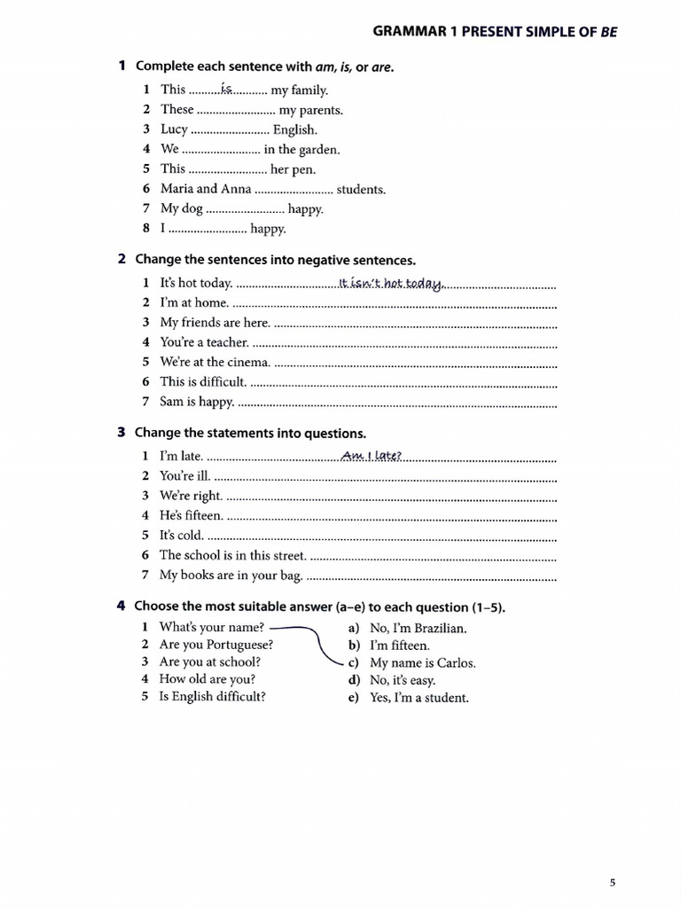Elementary Language Practice Pag 5 | PDF