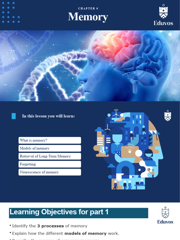 PYGPA1 - Week 4 Memory Part 1 | PDF | Memory | Long Term Memory
