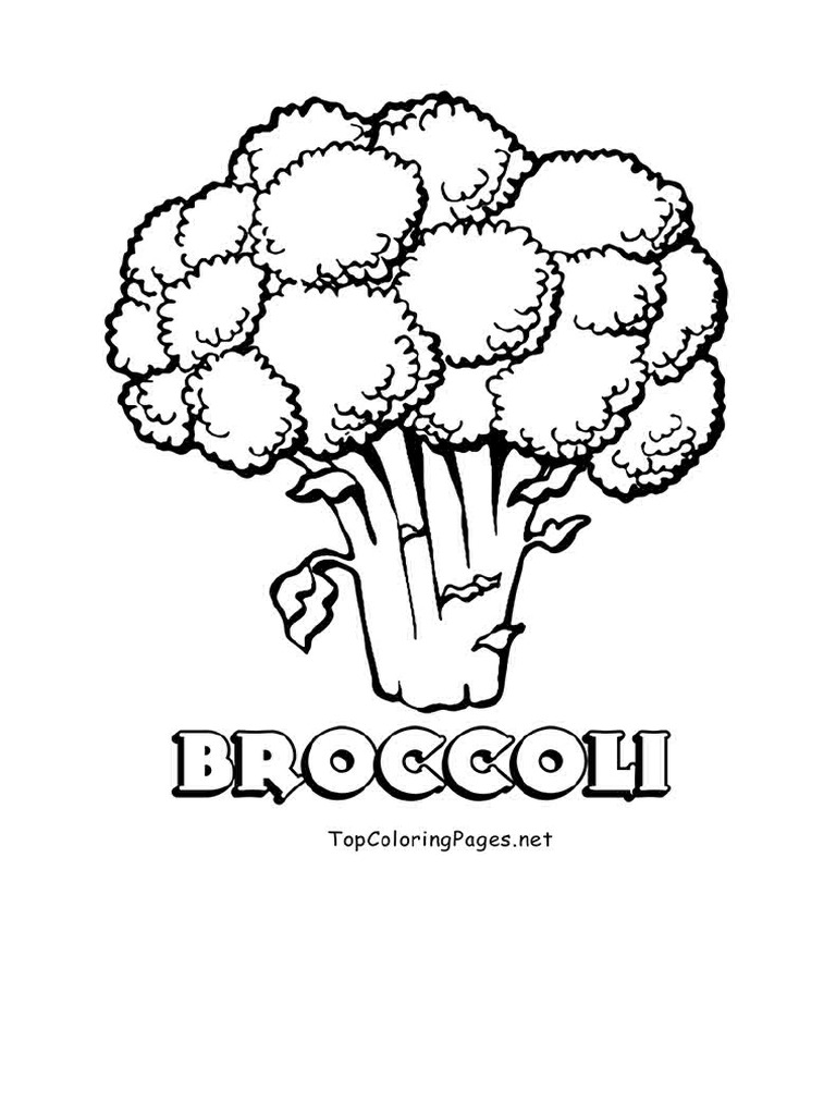 Broccoli Coloring Page Vegetable | PDF