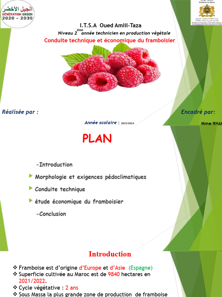 Conduite technique du framboisier | PDF | Sol (pédologie) | Plantes