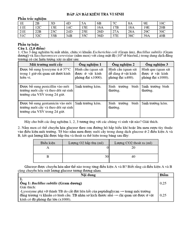 10 Bio - Đáp án KT Vi sinh vật | PDF