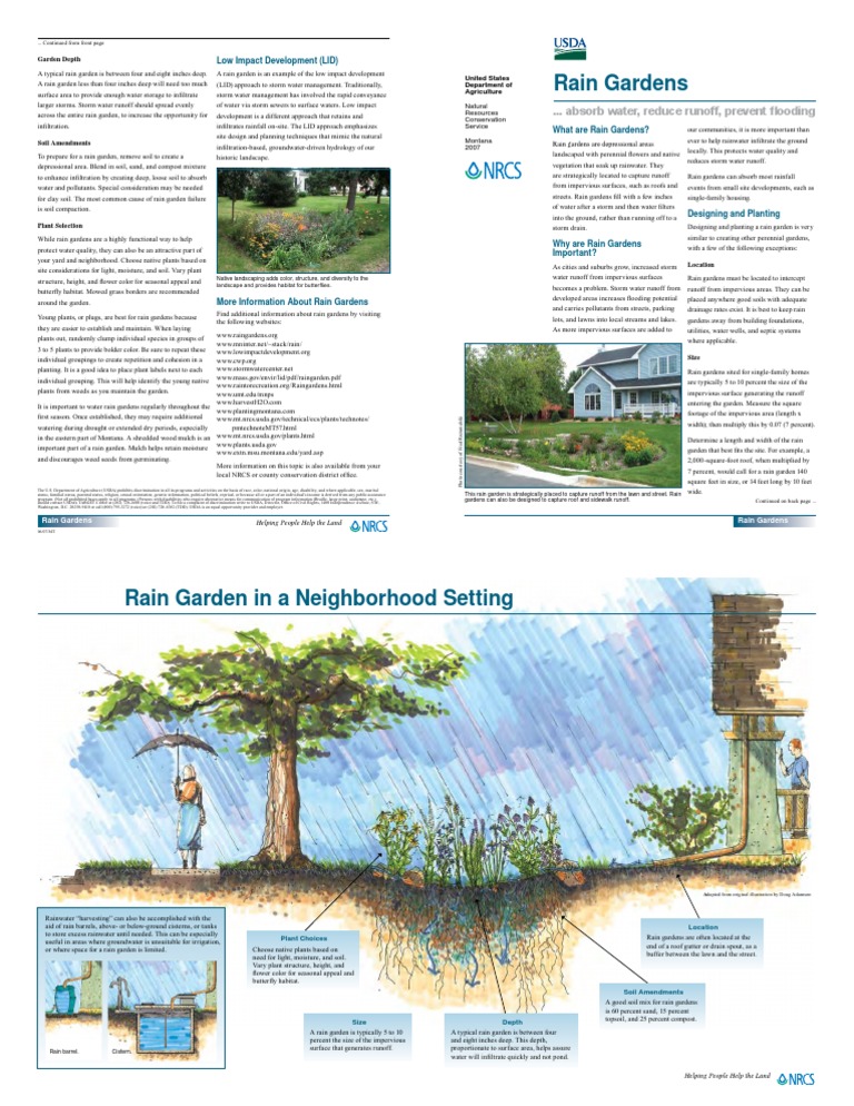 Montana Rain Gardens Brochure | PDF | Stormwater | Surface Runoff