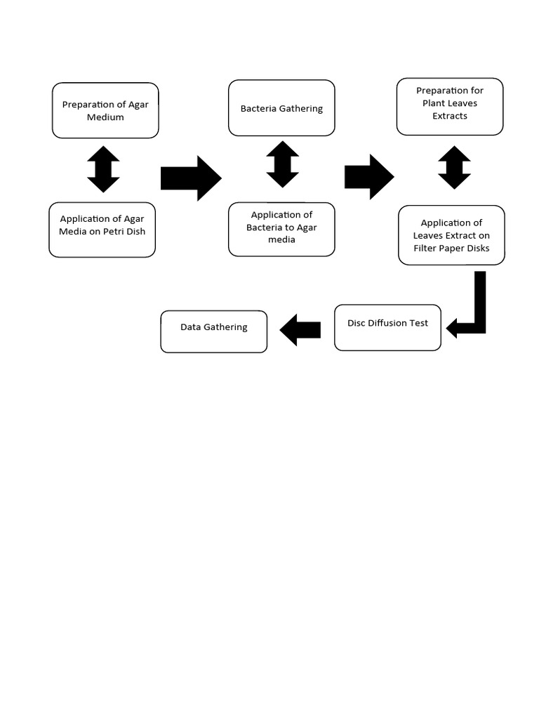 Consep Framework CCV | PDF