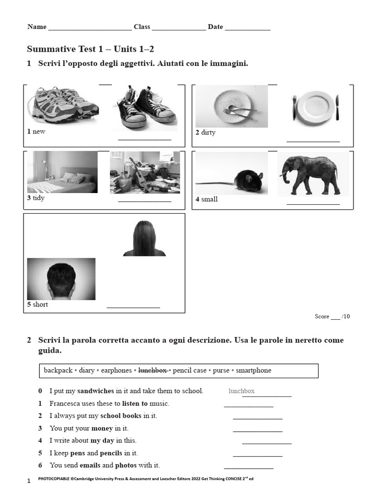 Italian Language Test for Students | PDF