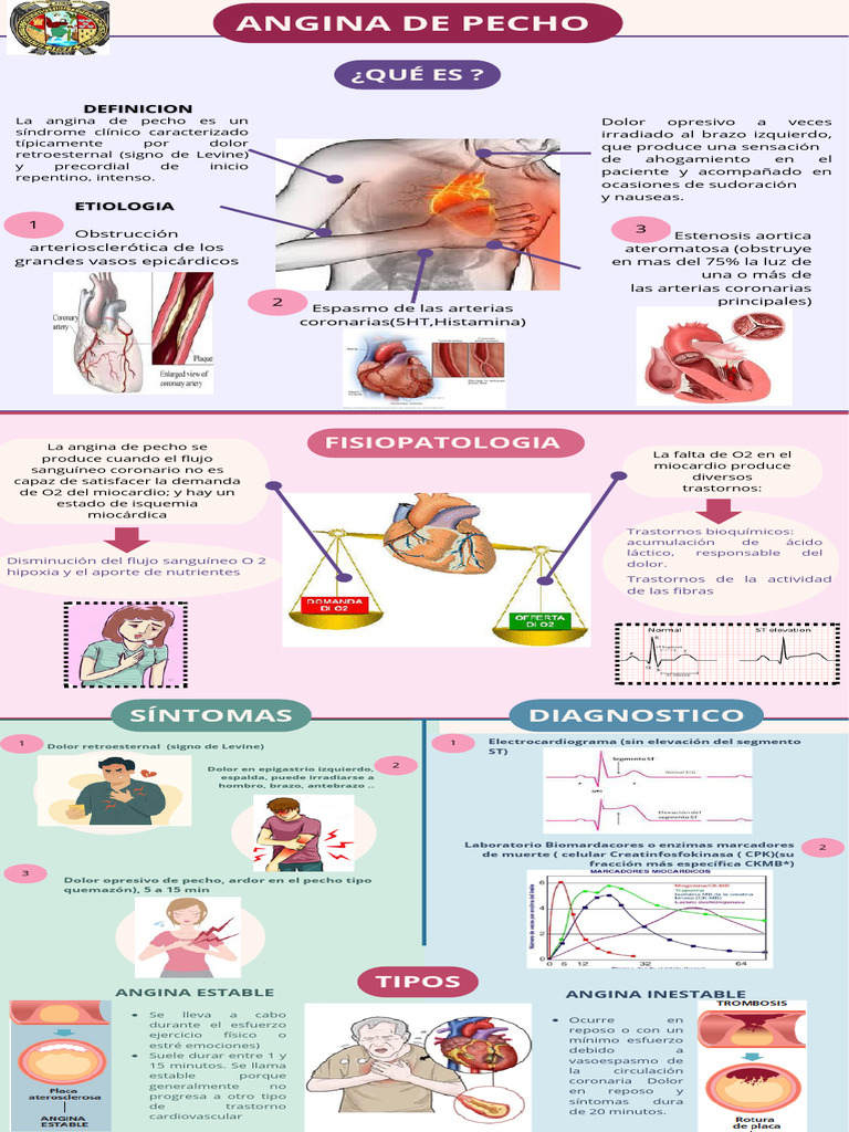 Infografia Final Angina de Pecho | PDF | Corazón | Fisiología