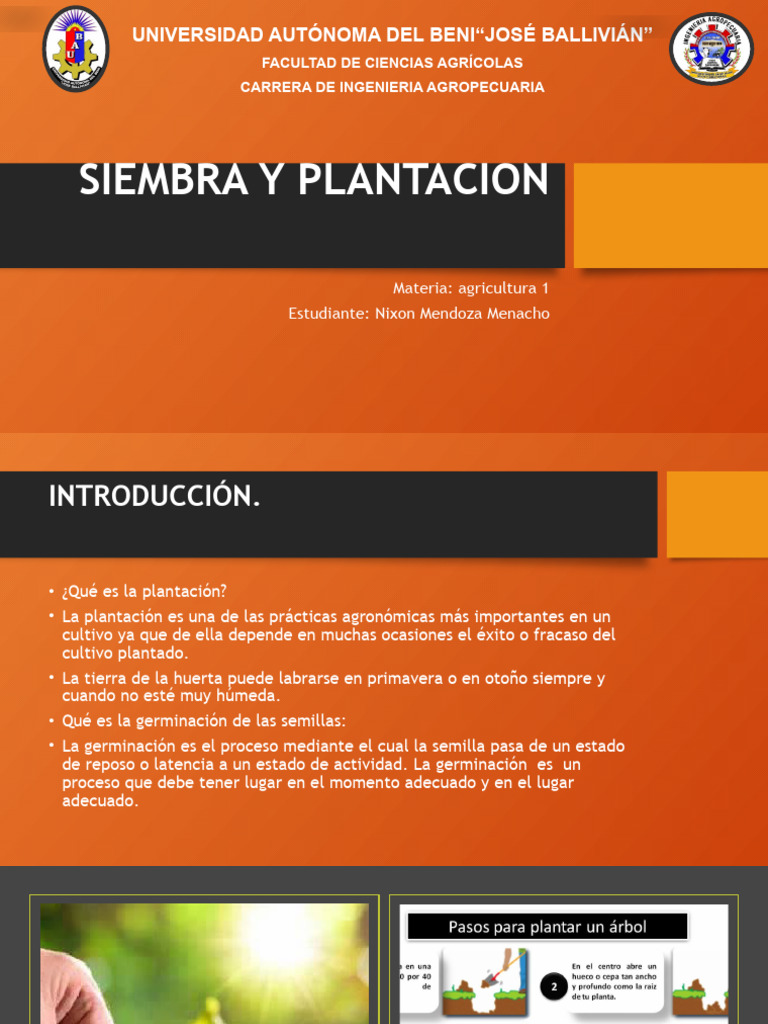 Siembra y Plantacion | PDF | Siembra | Semilla