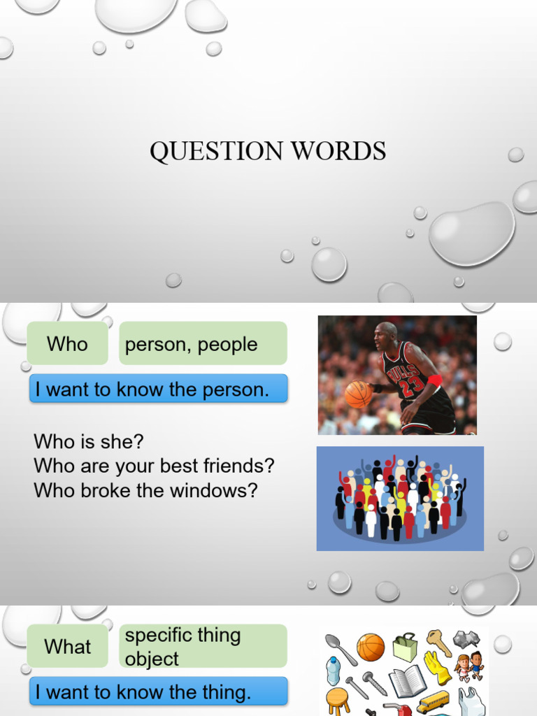 Question Words | PDF