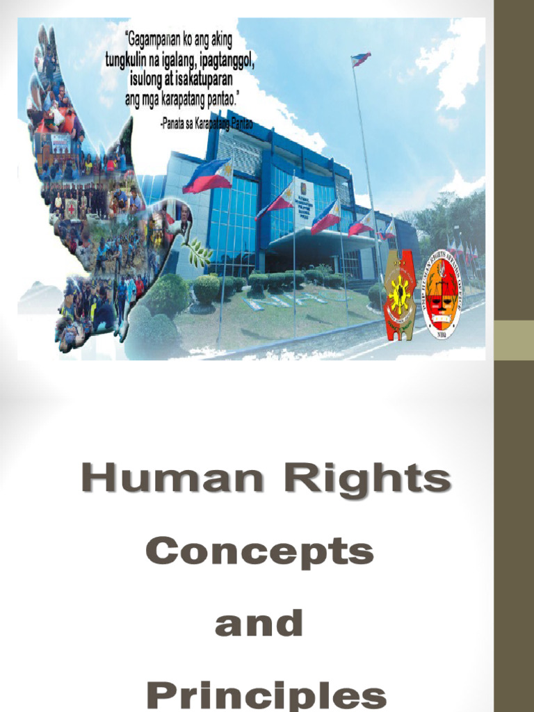 Human Rights | PDF | Human Rights | Crimes