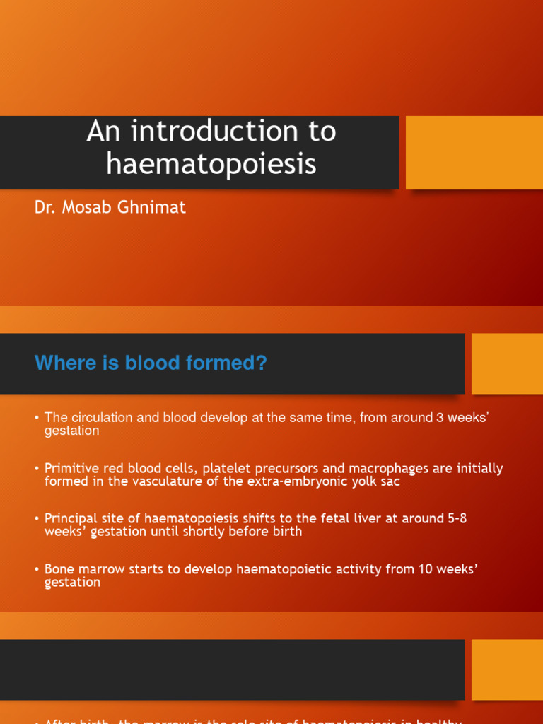 1 - Introduction To Heamatopoiesis | PDF | Haematopoiesis | T Cell