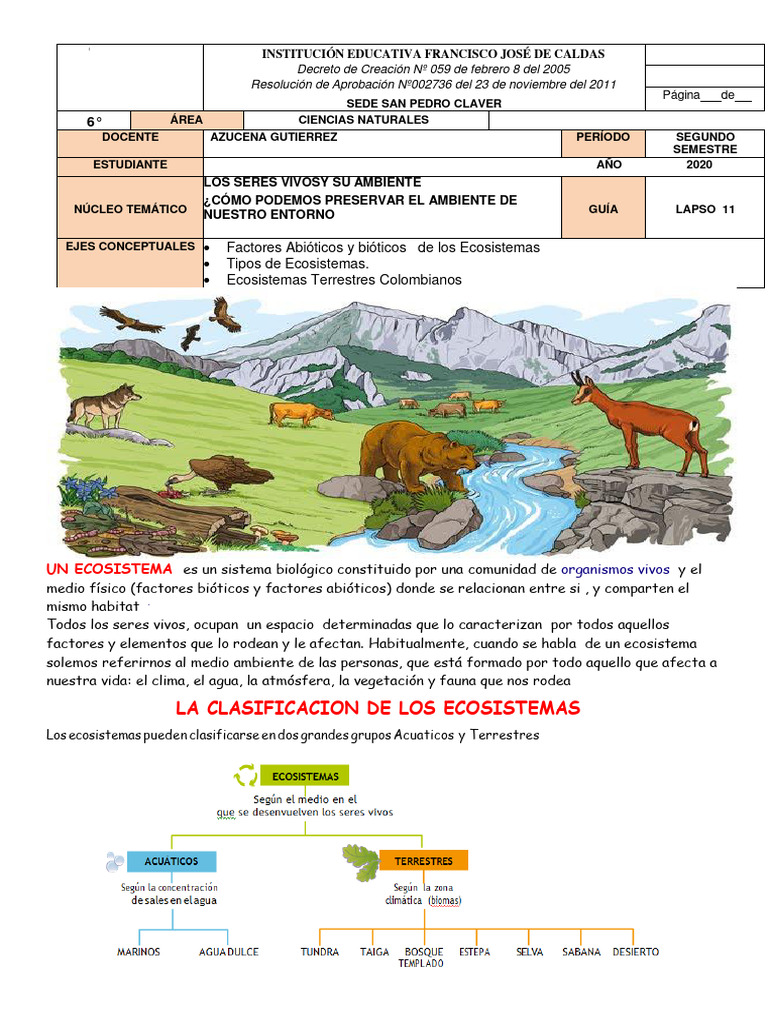 Tipos de Los Ecosistema | PDF | Ecosistema | Selva