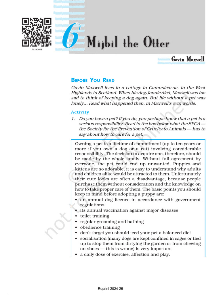 English First Flight Chapter 6 Mijbil The Otter | PDF | Adjective | Noun
