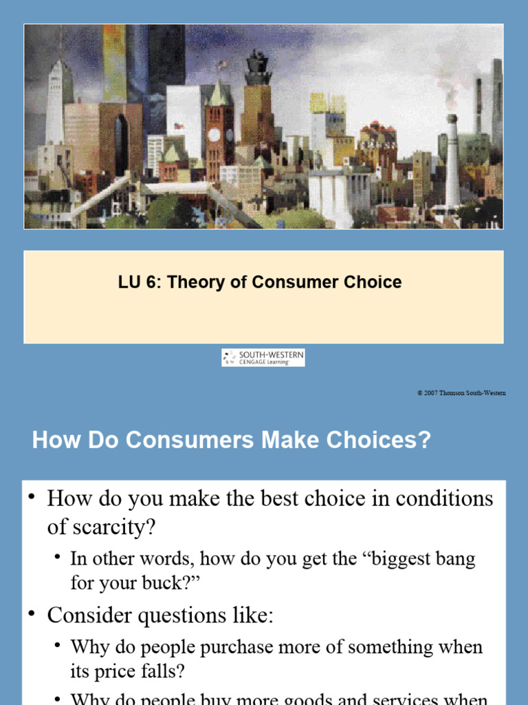 LU6 Theory of Consumer Choice | PDF | Business Economics | Marketing