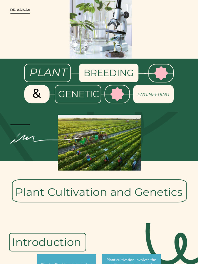 UMK Plant Breeding and Genetic Engineering Semester 2 | PDF | Plant ...