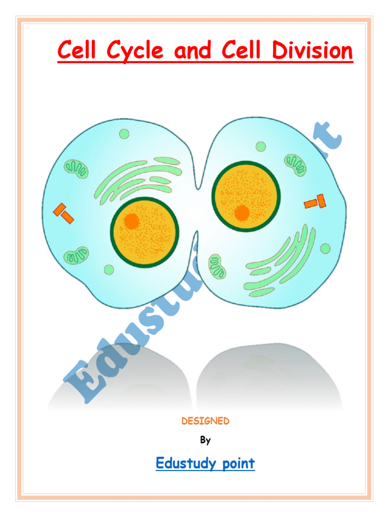 Chapter 10.cell Cycle and Cell Division | PDF | Meiosis | Mitosis