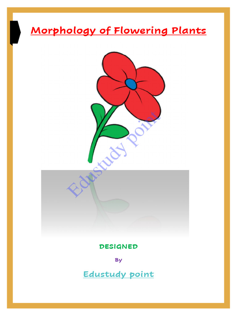 Chapter 5.morphology of Flowering Plants | PDF | Leaf | Flowers