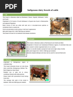 Zambian Cattle Breeds Overview | PDF | Dairy Cattle | Cattle