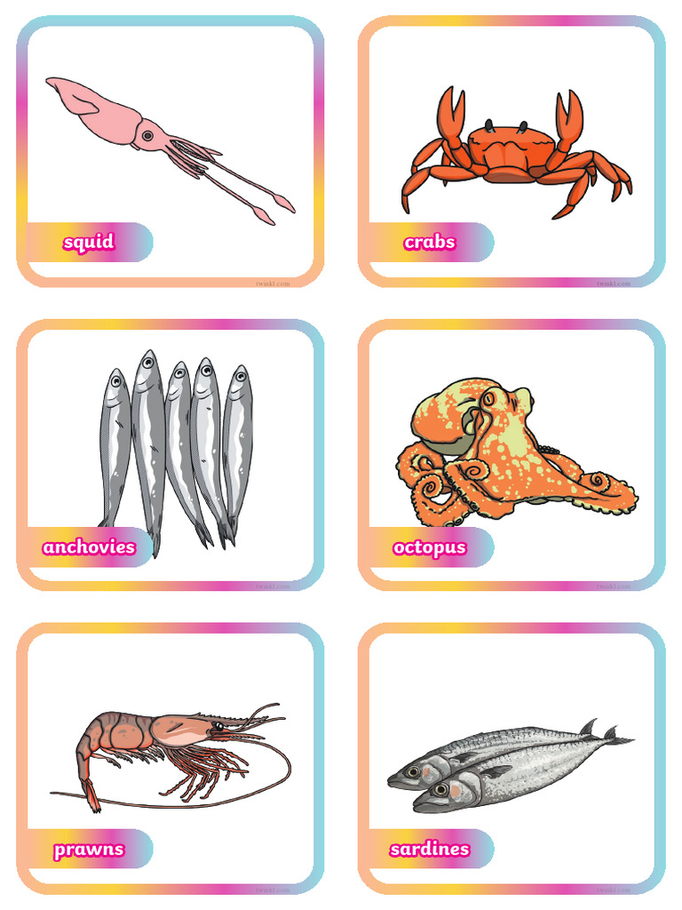 Aquatic Foods Picture Cards - Ver - 1 | PDF | Home & Garden | Young Adult