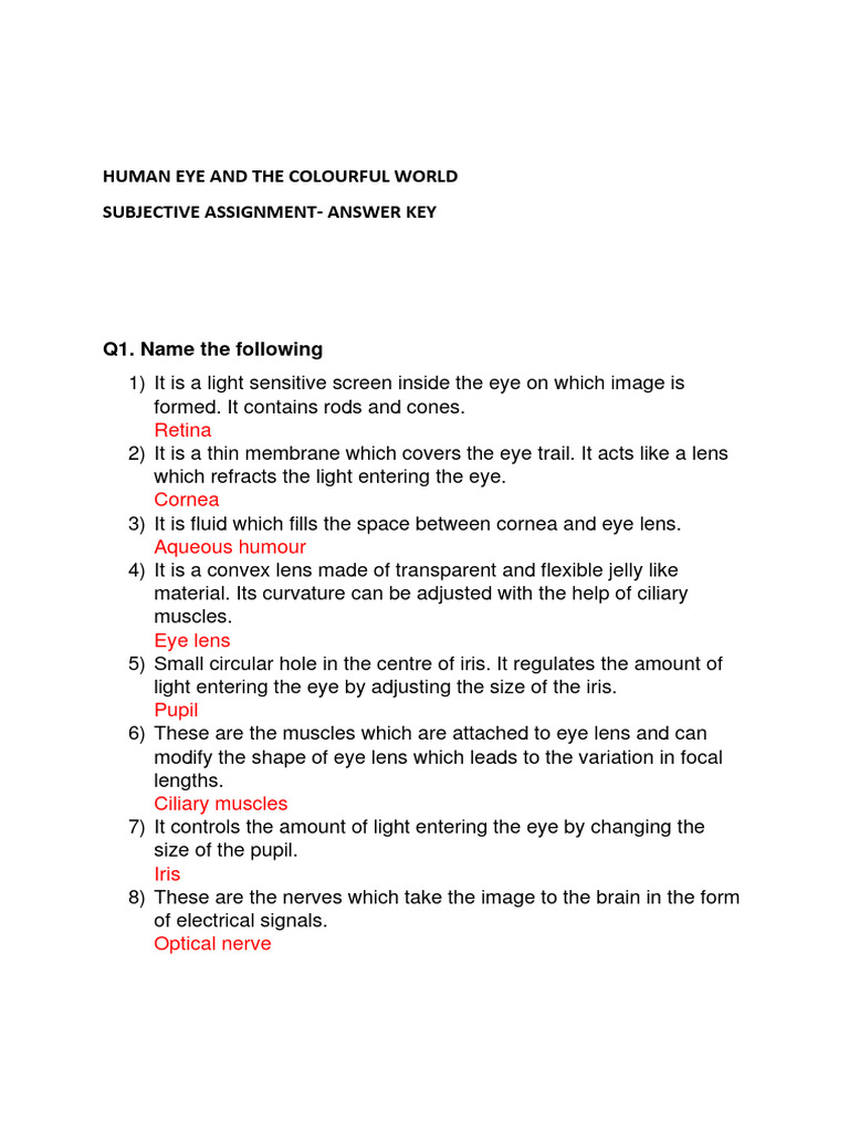 Human Eye Sub Assignment | PDF