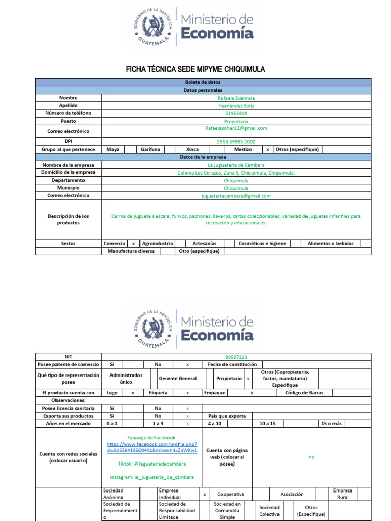 Ficha Técnica Mineco La Jugueteria de Cambara | PDF | Iniciativa empresarial | Economias