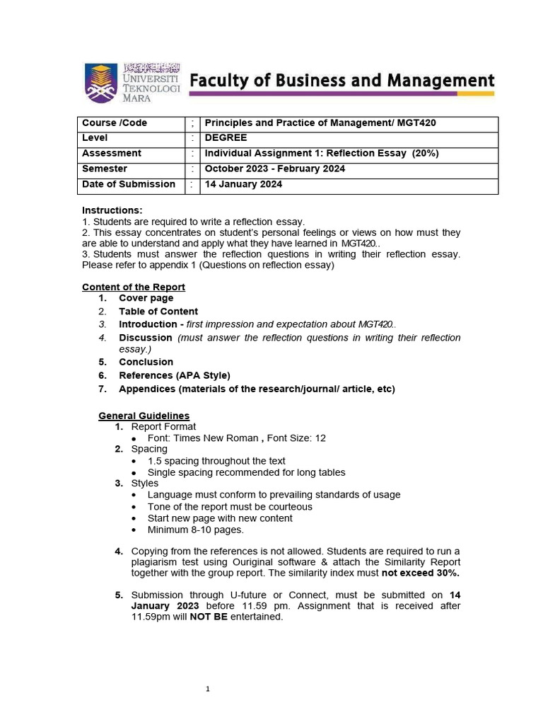 Individual Assignment 1 - Instructions Mgt420 | PDF